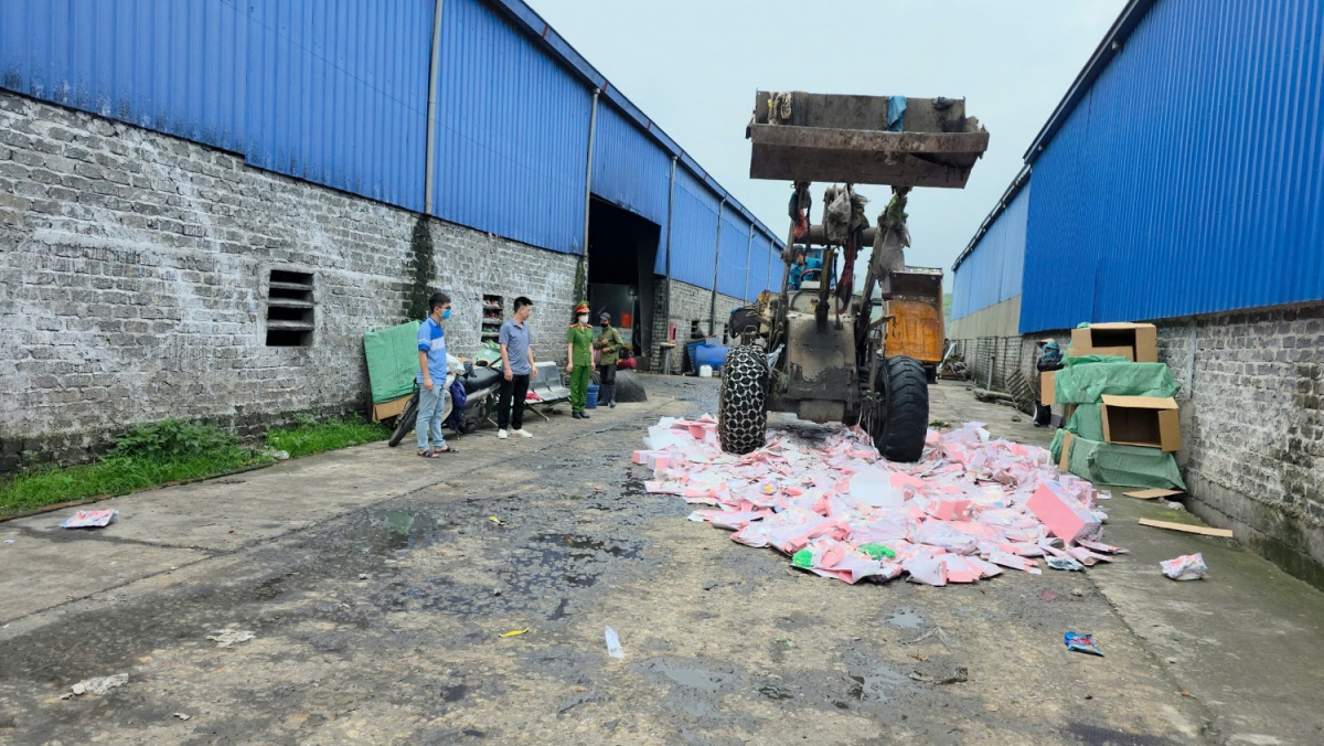 Tiêu hủy gần 2.000 con “Baby Three” vượt ngưỡng fomaldehyde cho phép | VOZ